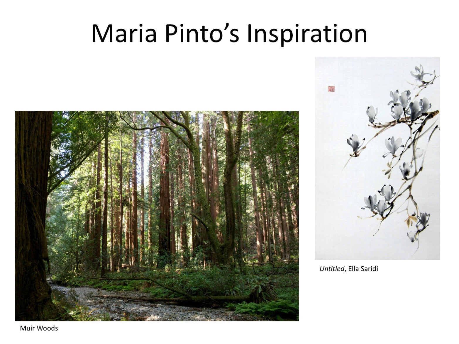 25 Influential Female Artists Who Continue to Inspire – Maria Pinto