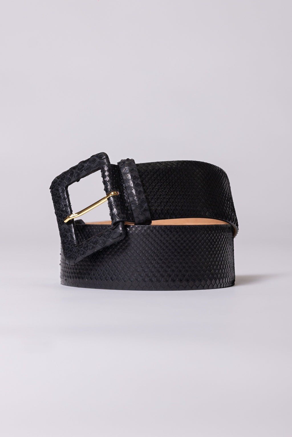 Python Belt - Black – Maria Pinto